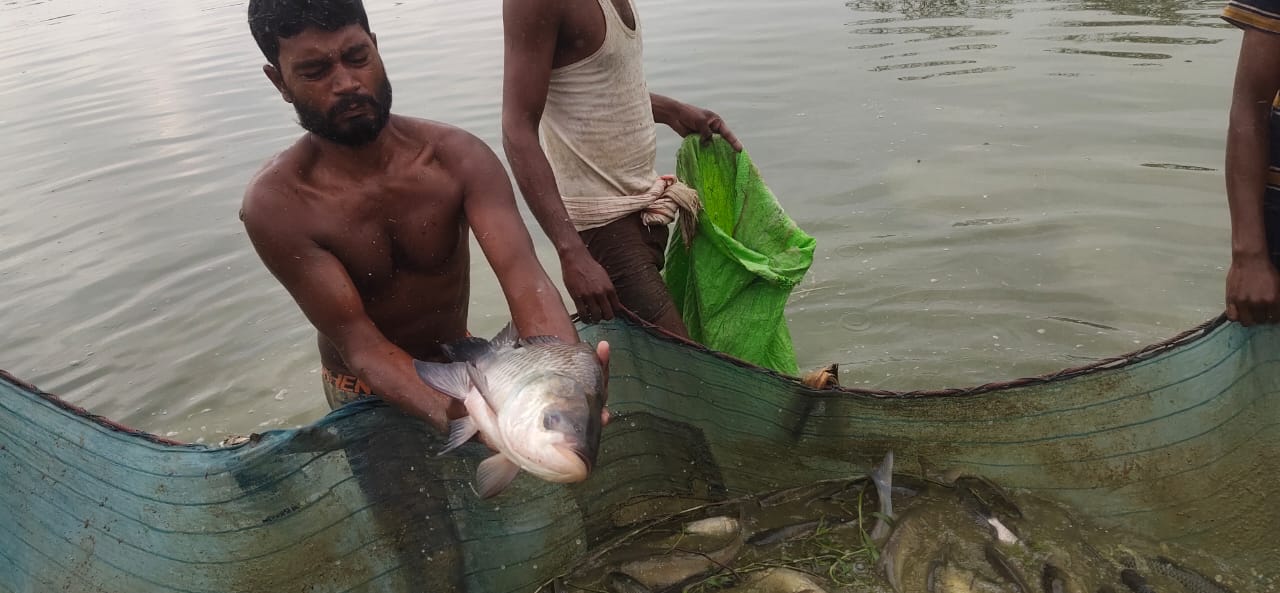 Gadhimai Agriculture Farm – Fisheries & Agriculture